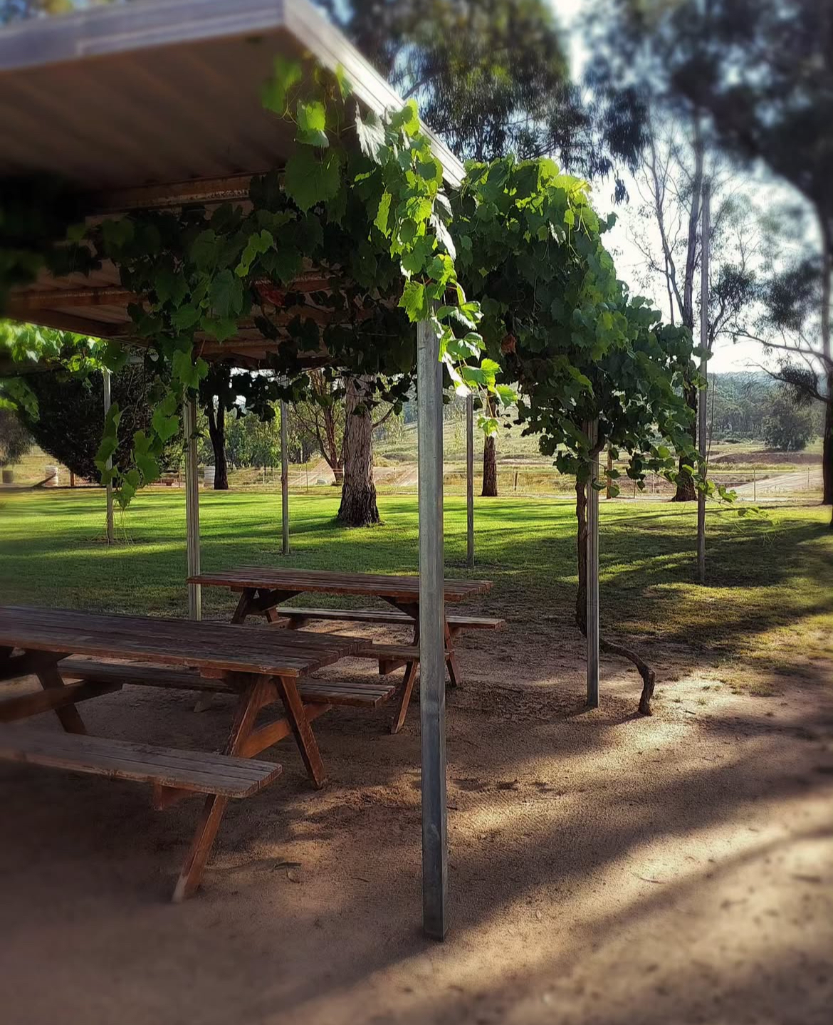 ACTION STATION | LOUEE ENDURO AND MX COMPLEX - Australasian Dirt Bike ...